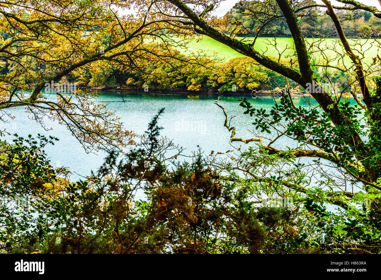 Autumn colours in Cornwall, UK Stock Photo - Alamy