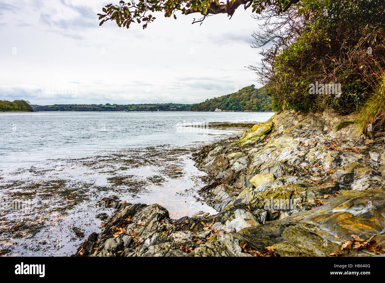 Autumn colours in Cornwall, UK Stock Photo - Alamy