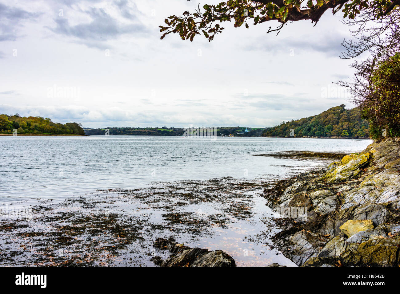 Autumn colours in Cornwall, UK Stock Photo - Alamy