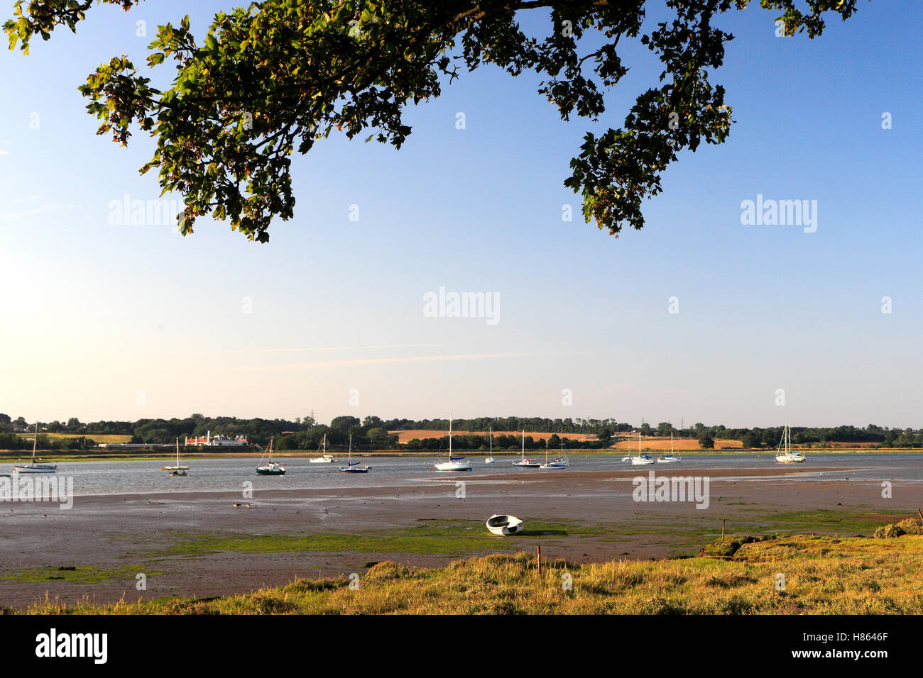 Manningtree Essex High Resolution Stock Photography and Images - Alamy