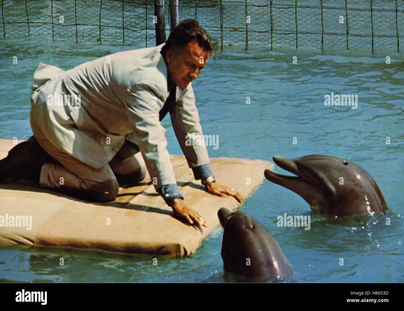 Delphins hi-res stock photography and images - Alamy