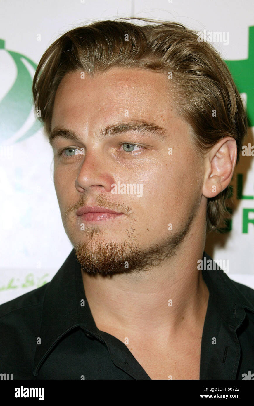 2002 leonardo dicaprio hi-res stock photography and images - Alamy