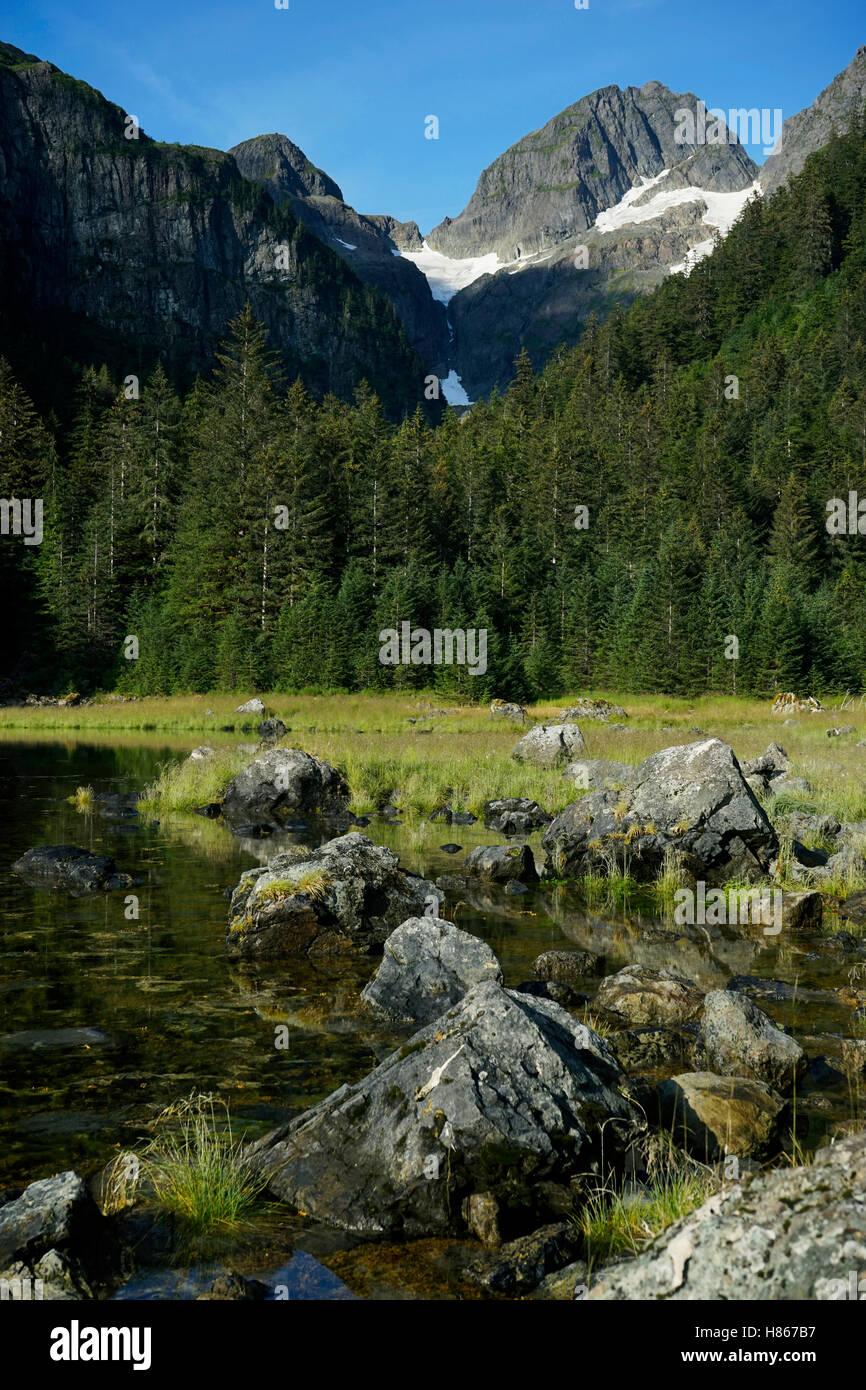 Conifer forest along shore, Inside Passage, Prince William Sound ...