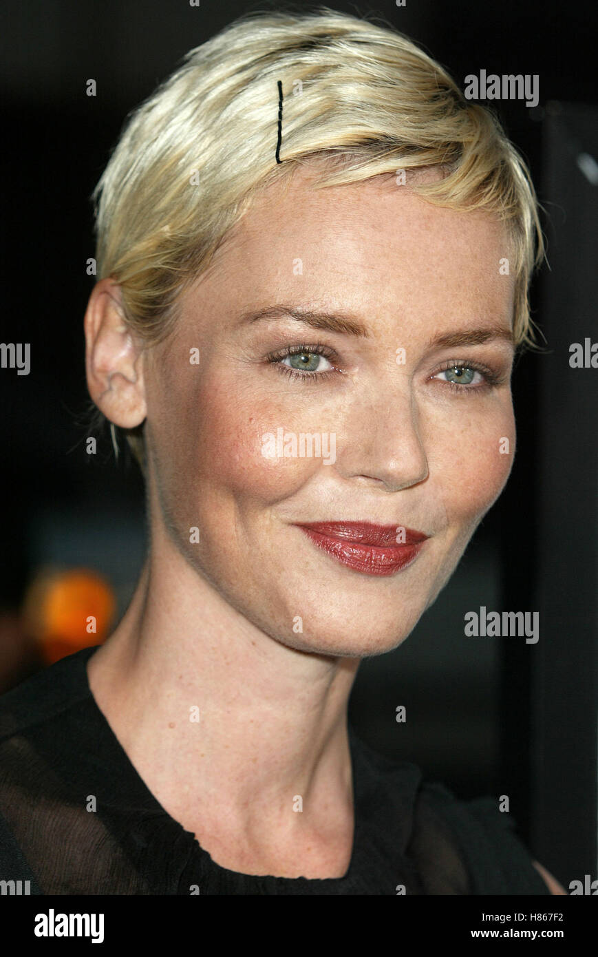 Connie Nielsen One Hour Photo