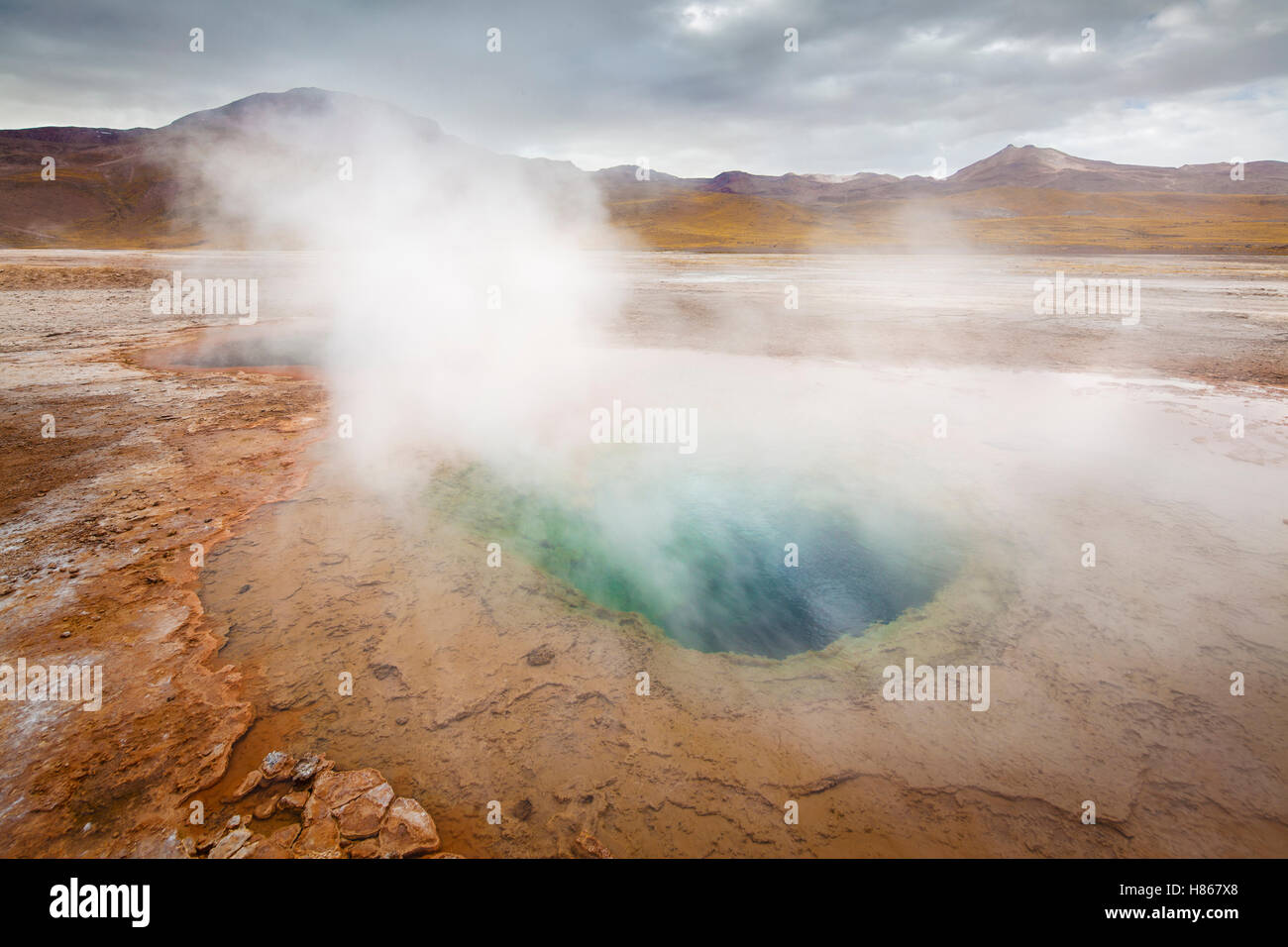 Hot spring in geyser field, El Tatio Geyser Field, Chile Stock Photo ...