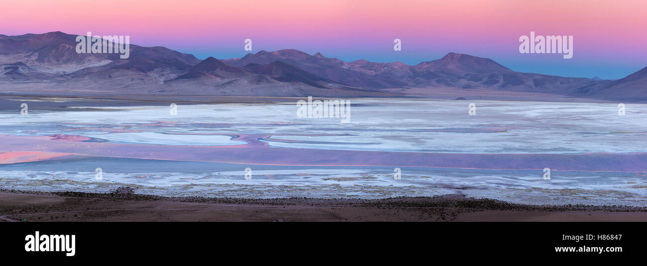 Salt flat after sunset, Salar del Huasco National Park, Chile Stock ...