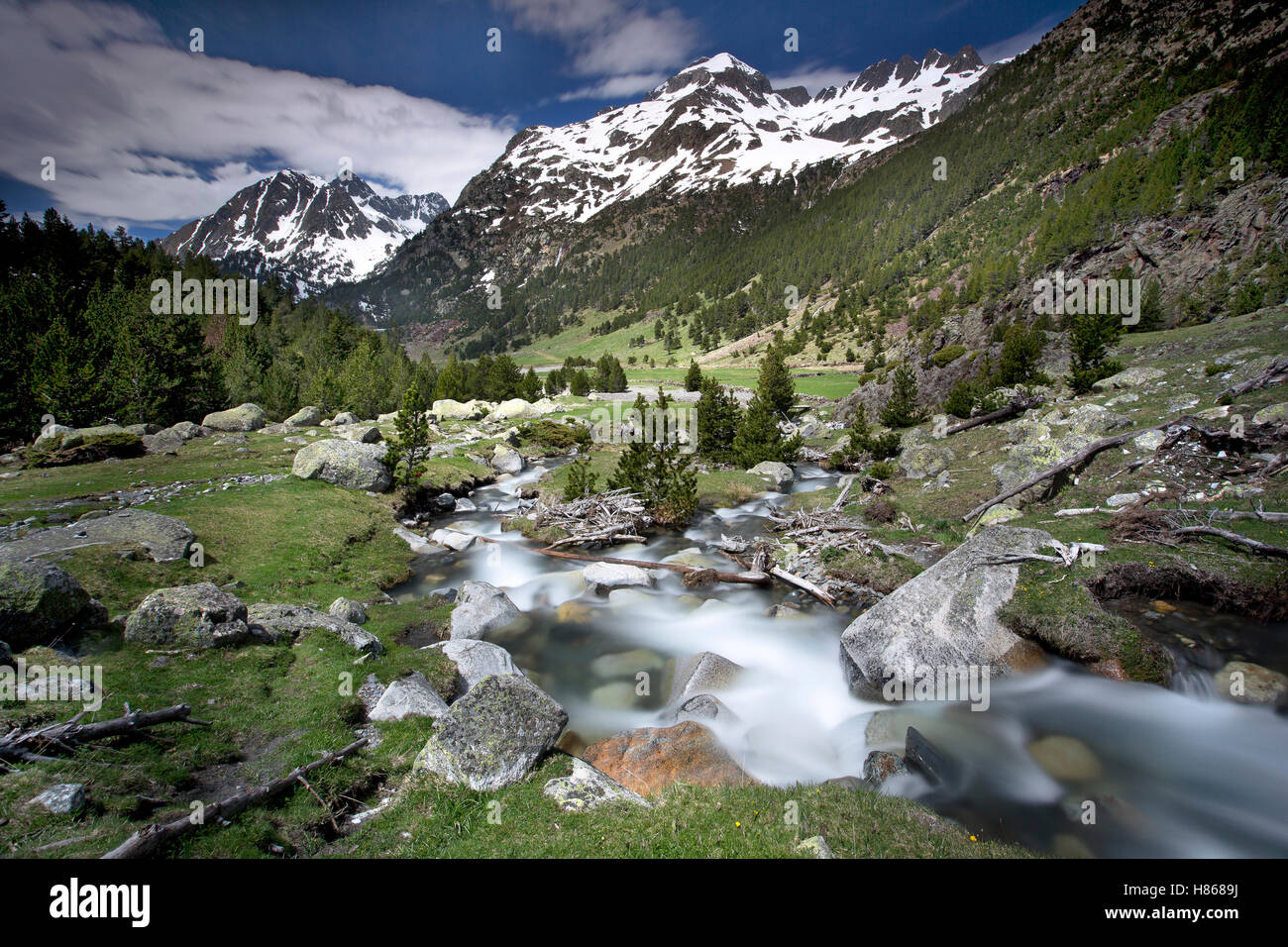 Alpine creek flowing through meadow, Pyrenees, Spain Stock Photo - Alamy