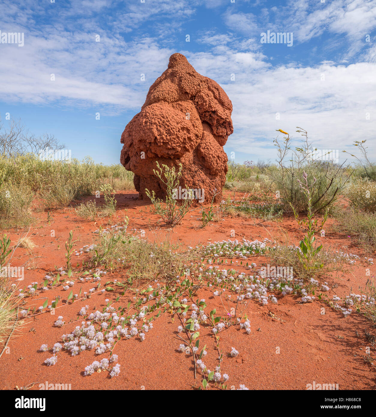 Termite mound in shrubland, Western Australia, Australia Stock Photo ...