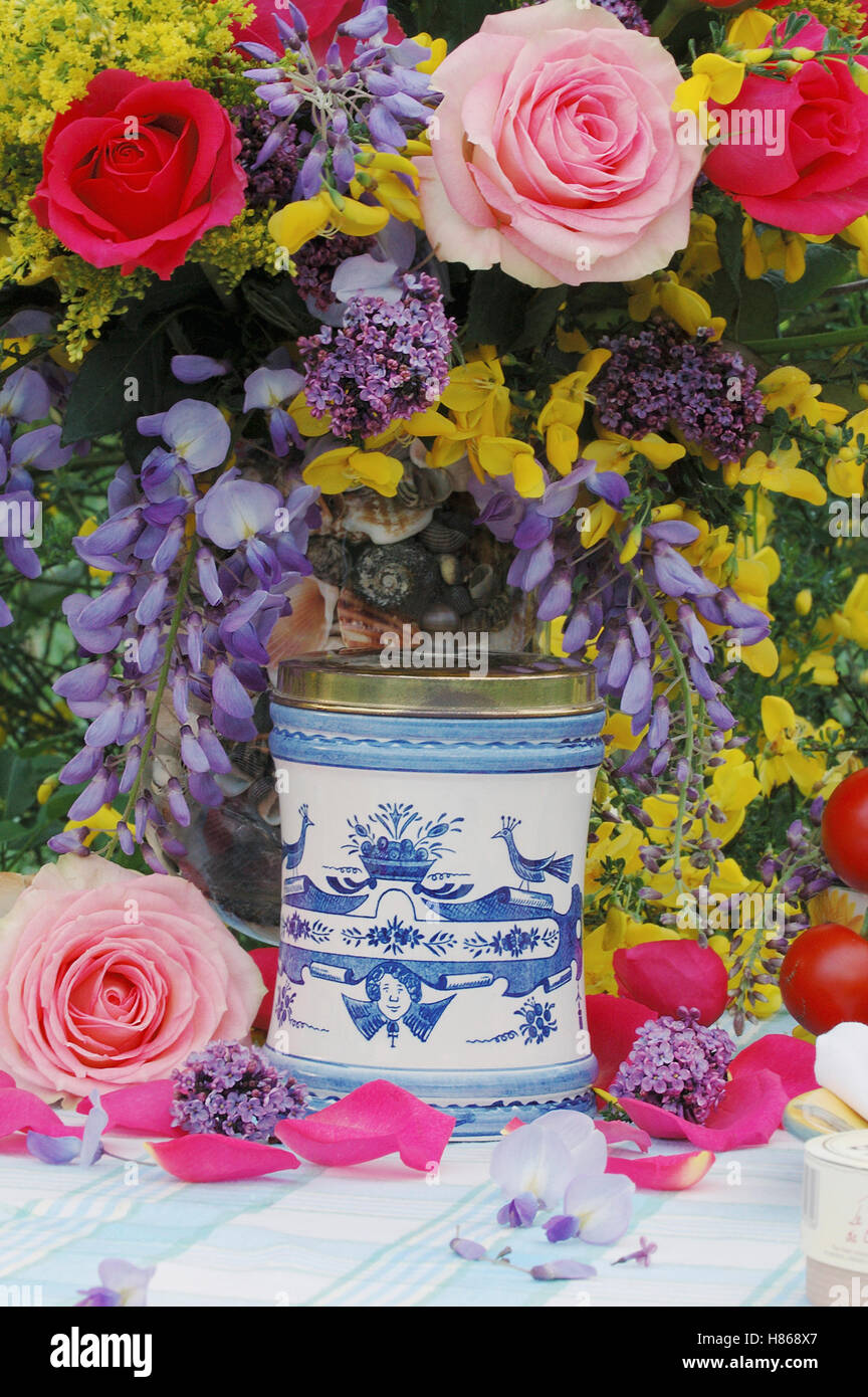 Rose sp flower hi-res stock photography and images - Alamy