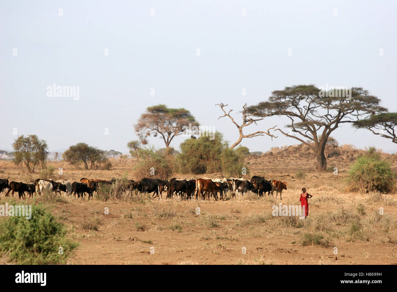 african life in the bush of kenya Stock Photo - Alamy