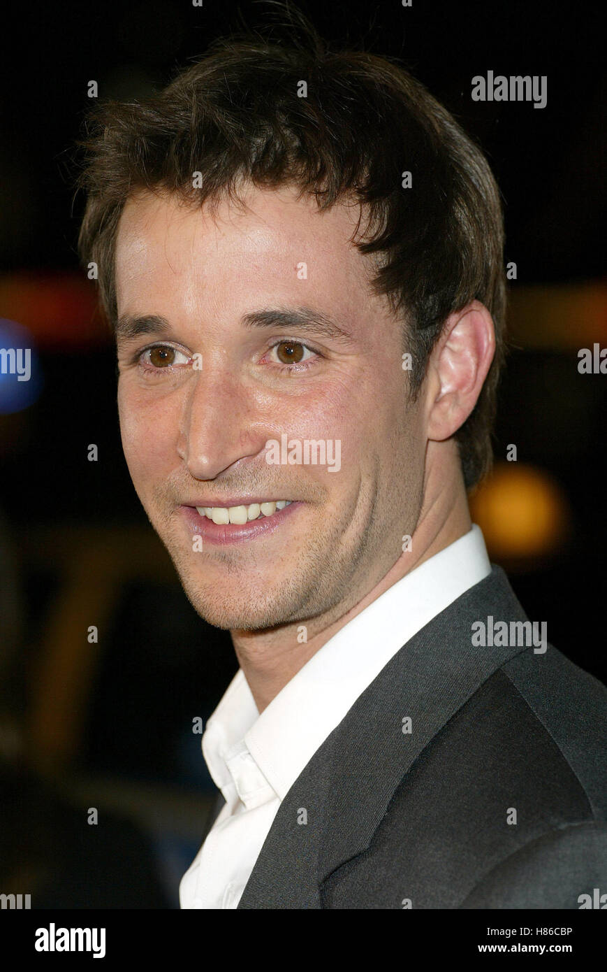 Noah Friedlander's Instagram, Twitter & Facebook on IDCrawl