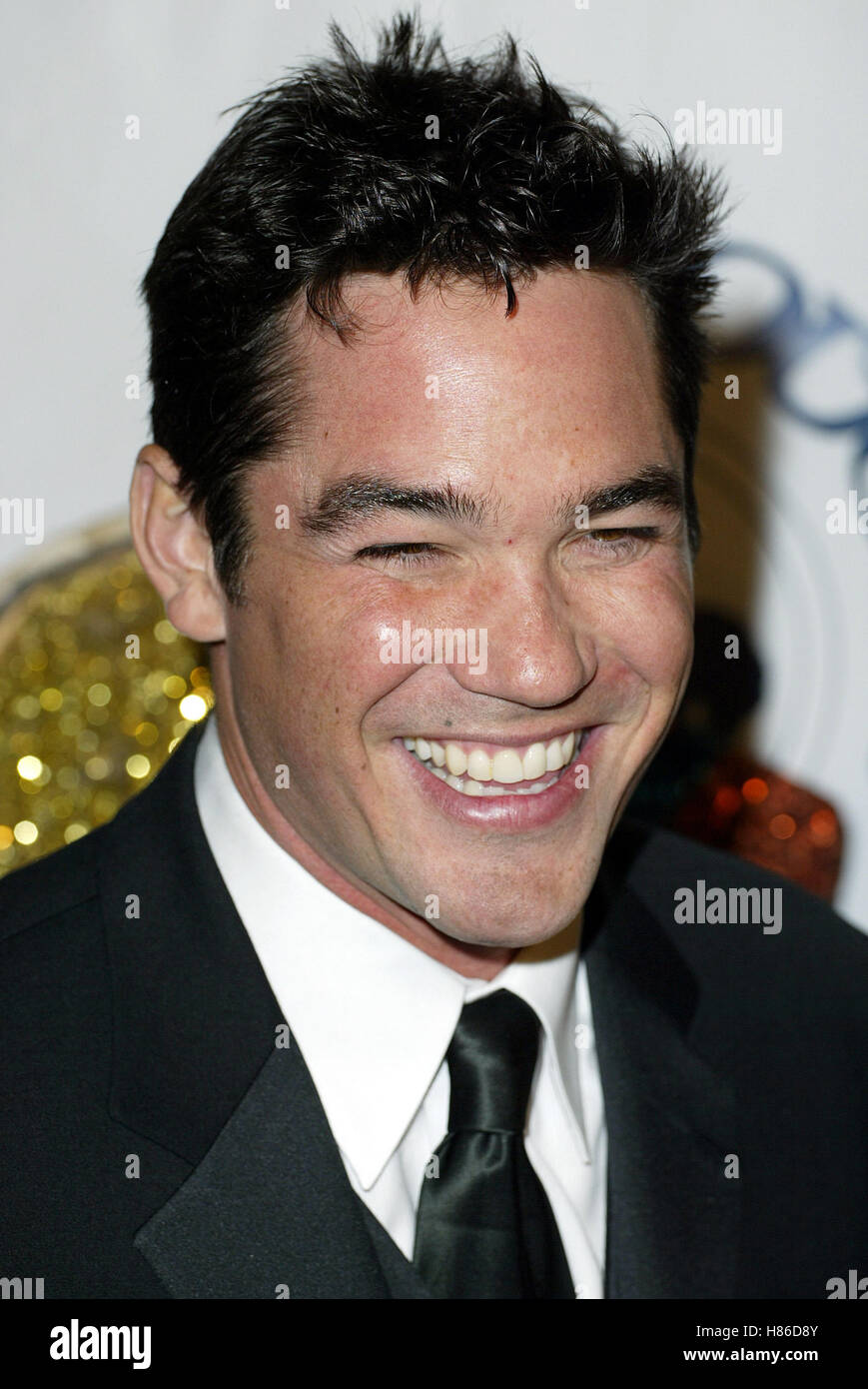 DEAN CAIN 15TH CAROUSEL OF HOPE BALL BEVERLY HILTON HOTEL BEVERLY HILLS ...