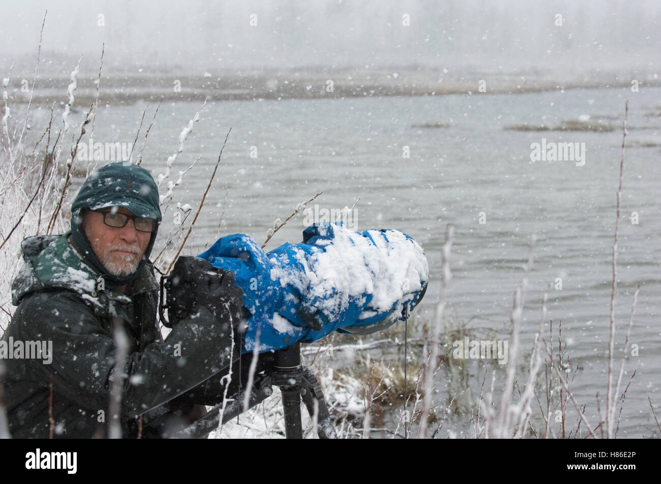 Michael Quinton along shore during snowfall, Copper River Delta, Alaska ...