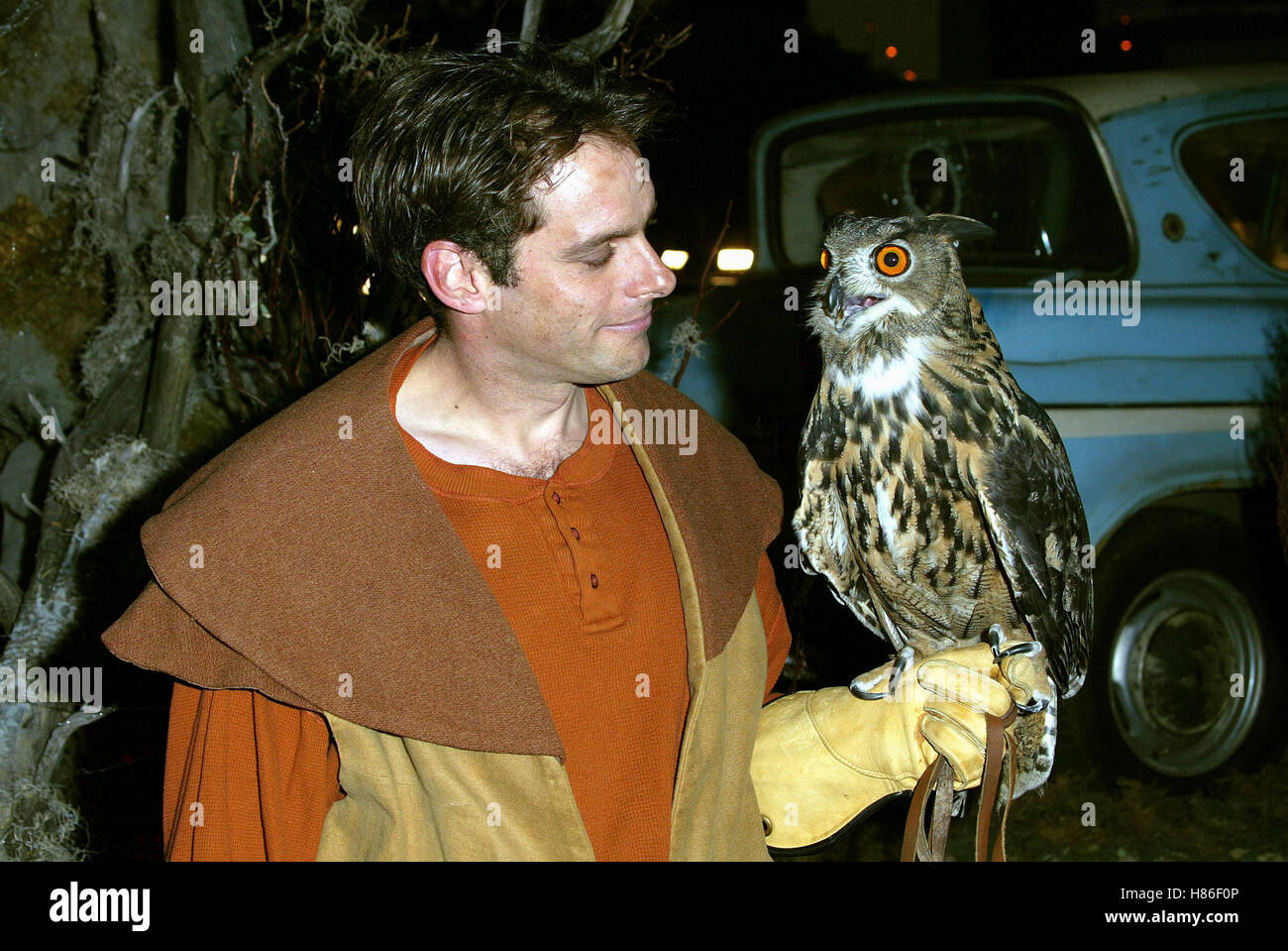 Harry potter owl hi-res stock photography and images - Alamy