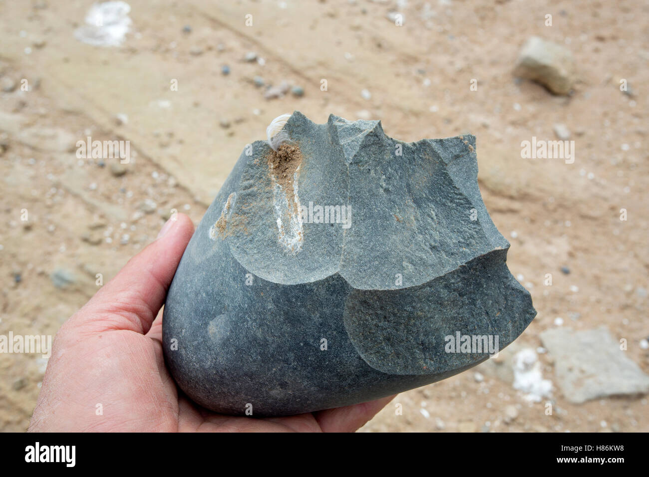 Cobble rock which was used to create stone tools, San Jeronimo Island ...