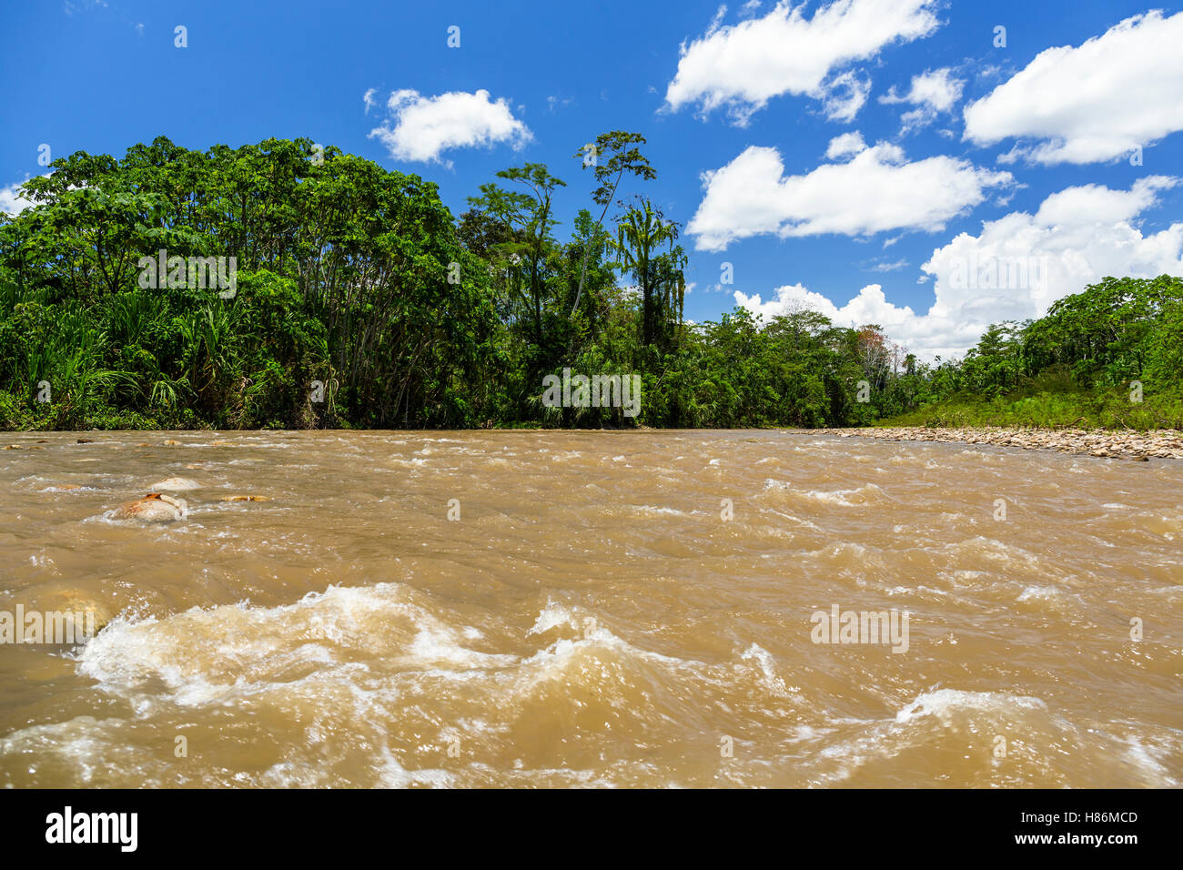 River and lowland rainforest, Yuyapichis River, Panguana Nature Reserve ...