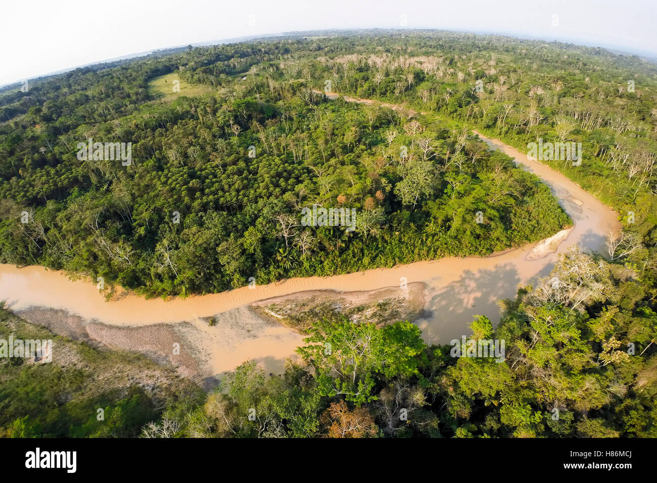 River flowing through lowland rainforest, Yuyapichis River, Panguana ...