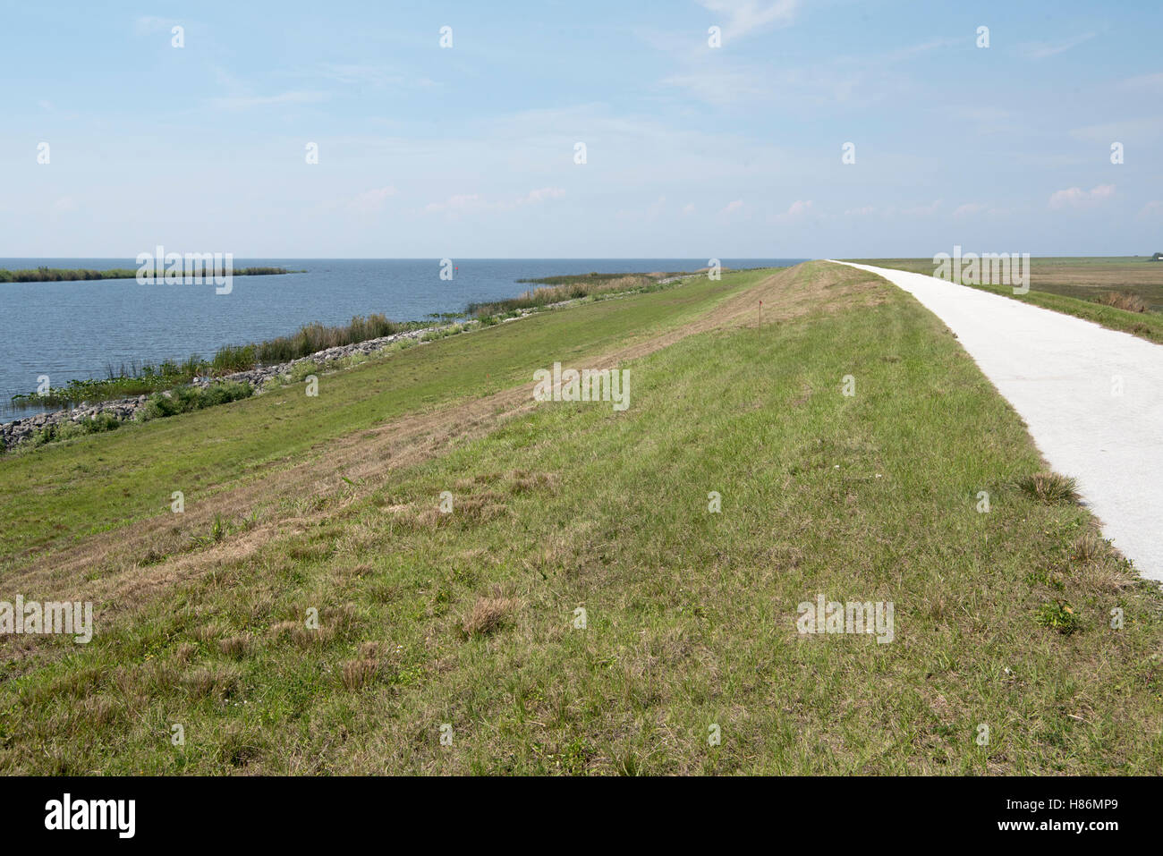Levee, Lake Okeechobee, Florida, primary source of the Everglades Stock ...