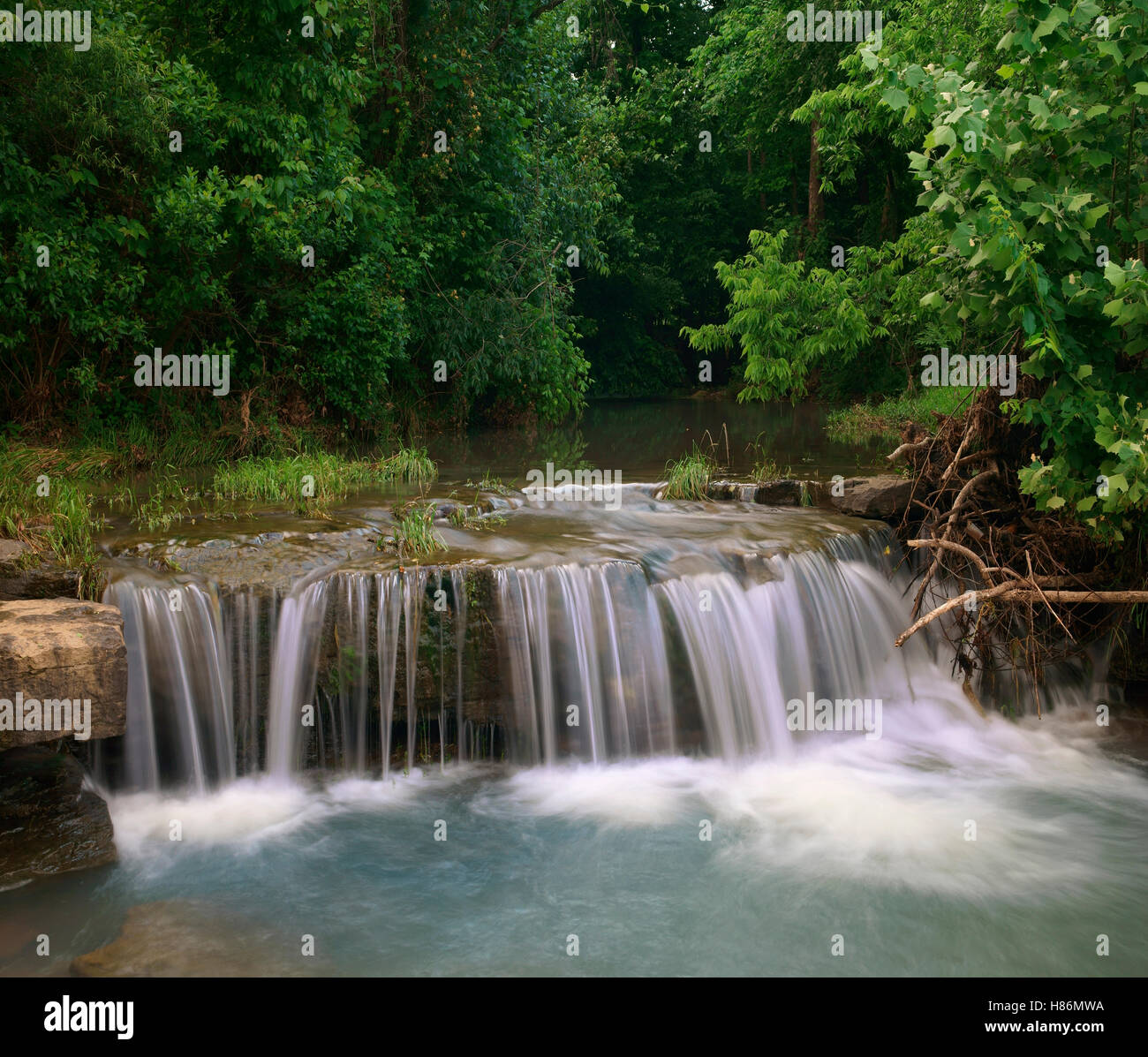 Waterfall, Lee Creek, Ozarks, Arkansas Stock Photo - Alamy