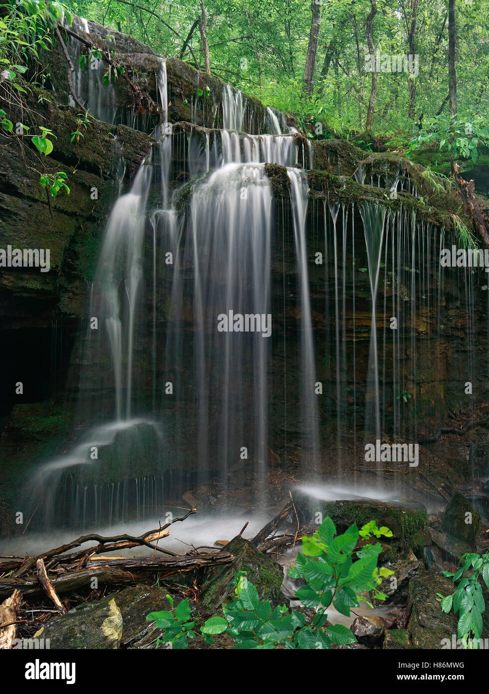 Pig Trail Falls, Mulberry River, Arkansas Stock Photo - Alamy