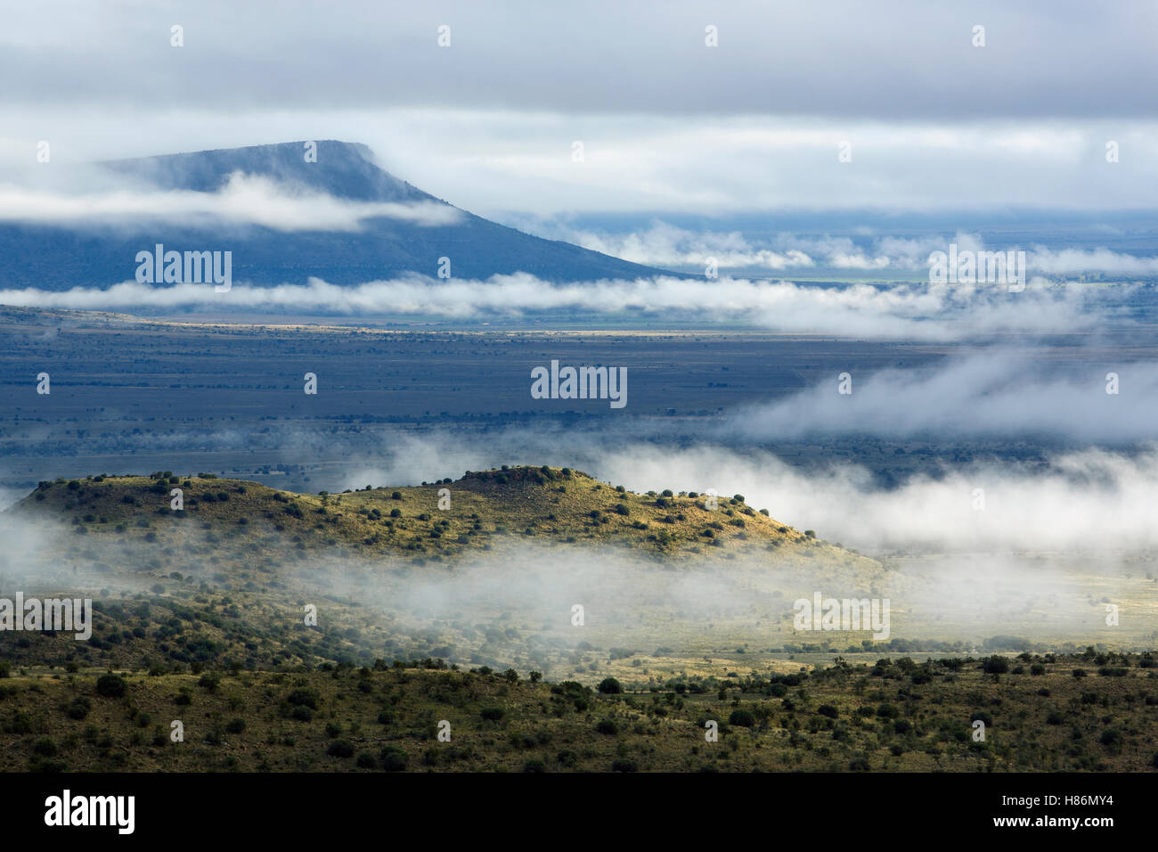 Early morning mist over savanna, Mountain Zebra National Park, South ...