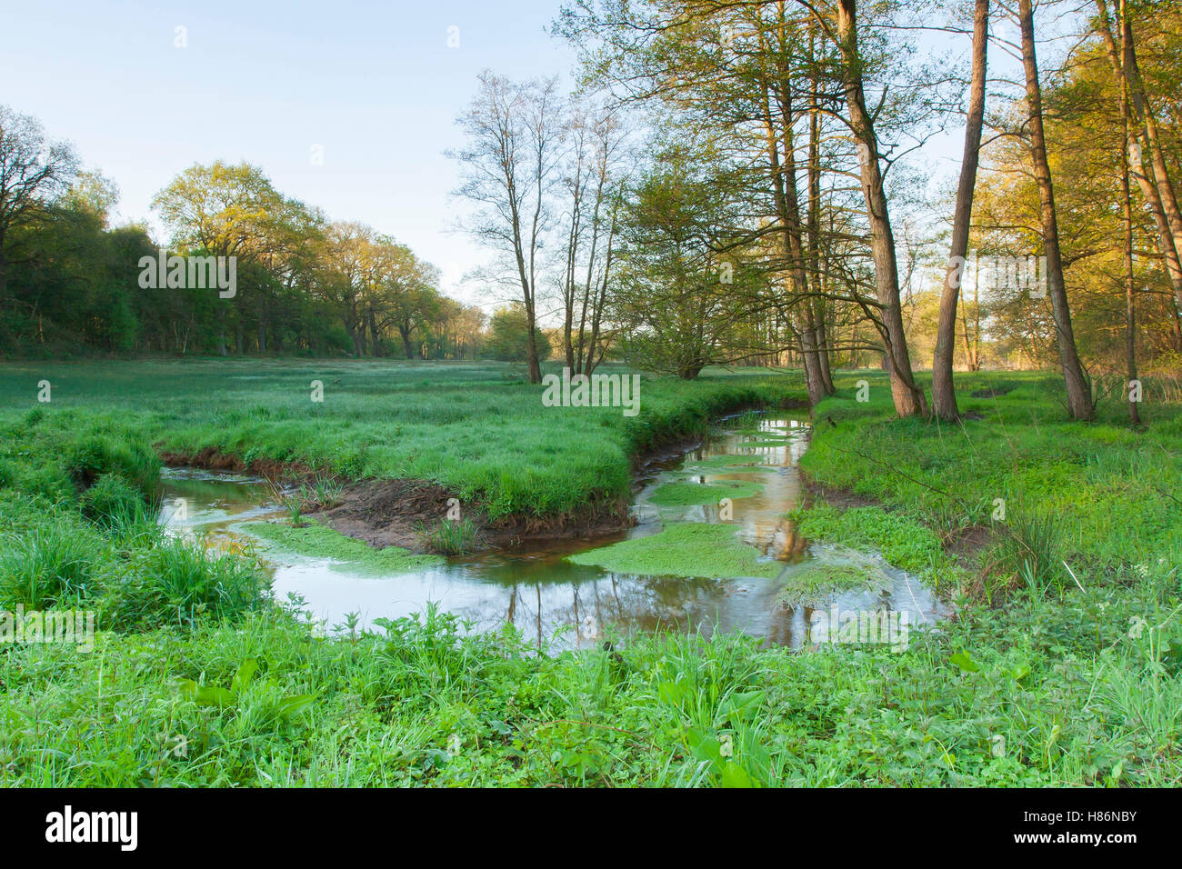 Meandering stream in meadow, Nationaal Beek- en Esdorpenlandschap ...