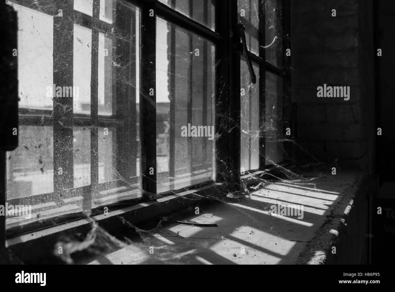Close-up b&w picture of a window with spider web Stock Photo - Alamy