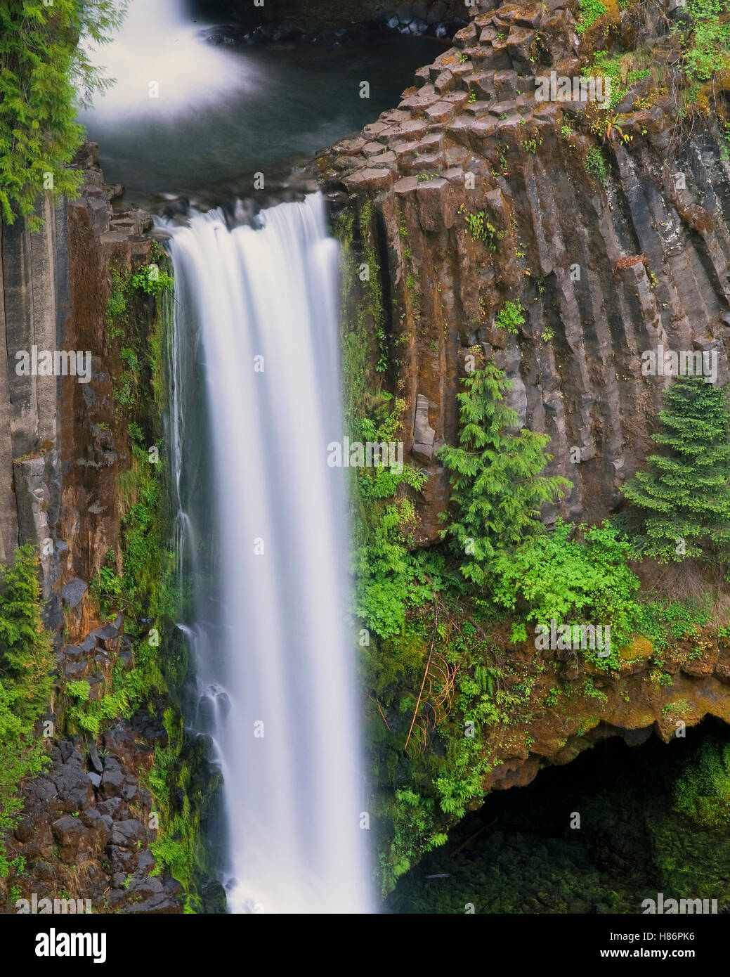 Basalt columns and Toketee Falls, North Umpqua River, Oregon Stock ...