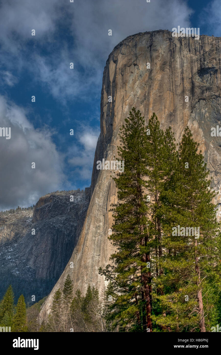 El Capitan, Yosemite National Park, California Stock Photo - Alamy