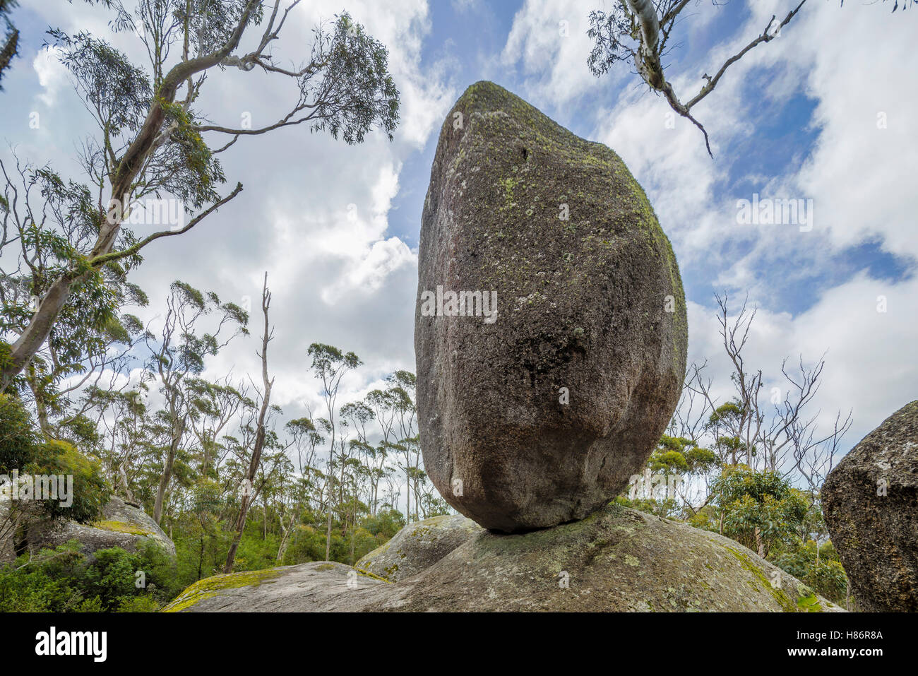 Granite boulder, example of spheroidal weathering, Porongurup National ...