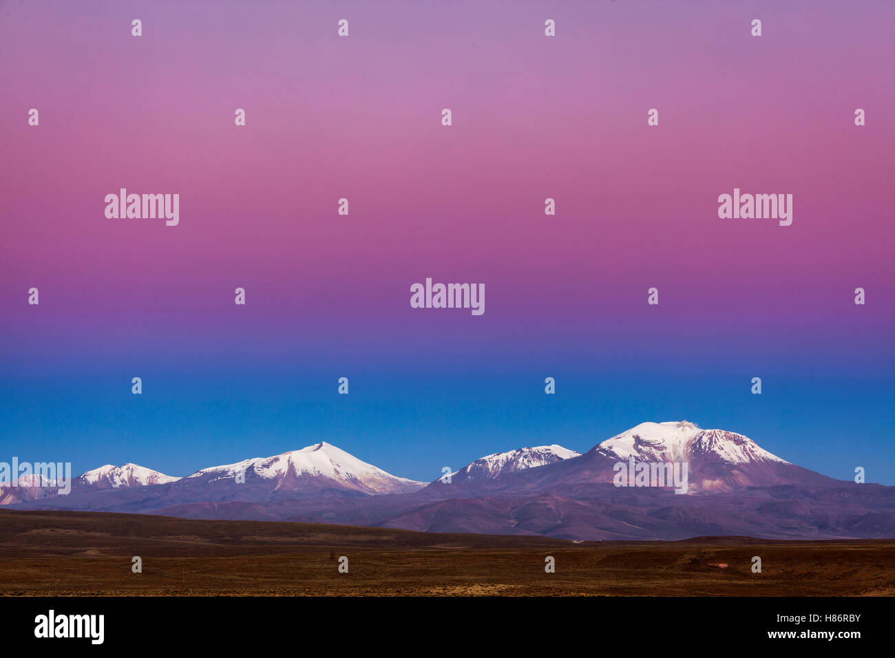 Sunset over the altiplano and snow-covered volcanoes, Guallatiri ...