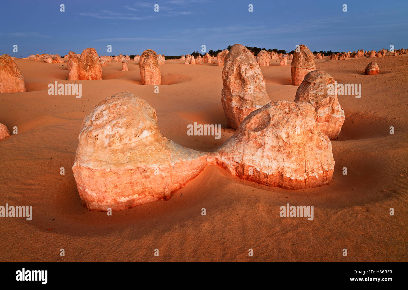 Limestone pinnacles in desert, Nambung National Park, Australia Stock ...