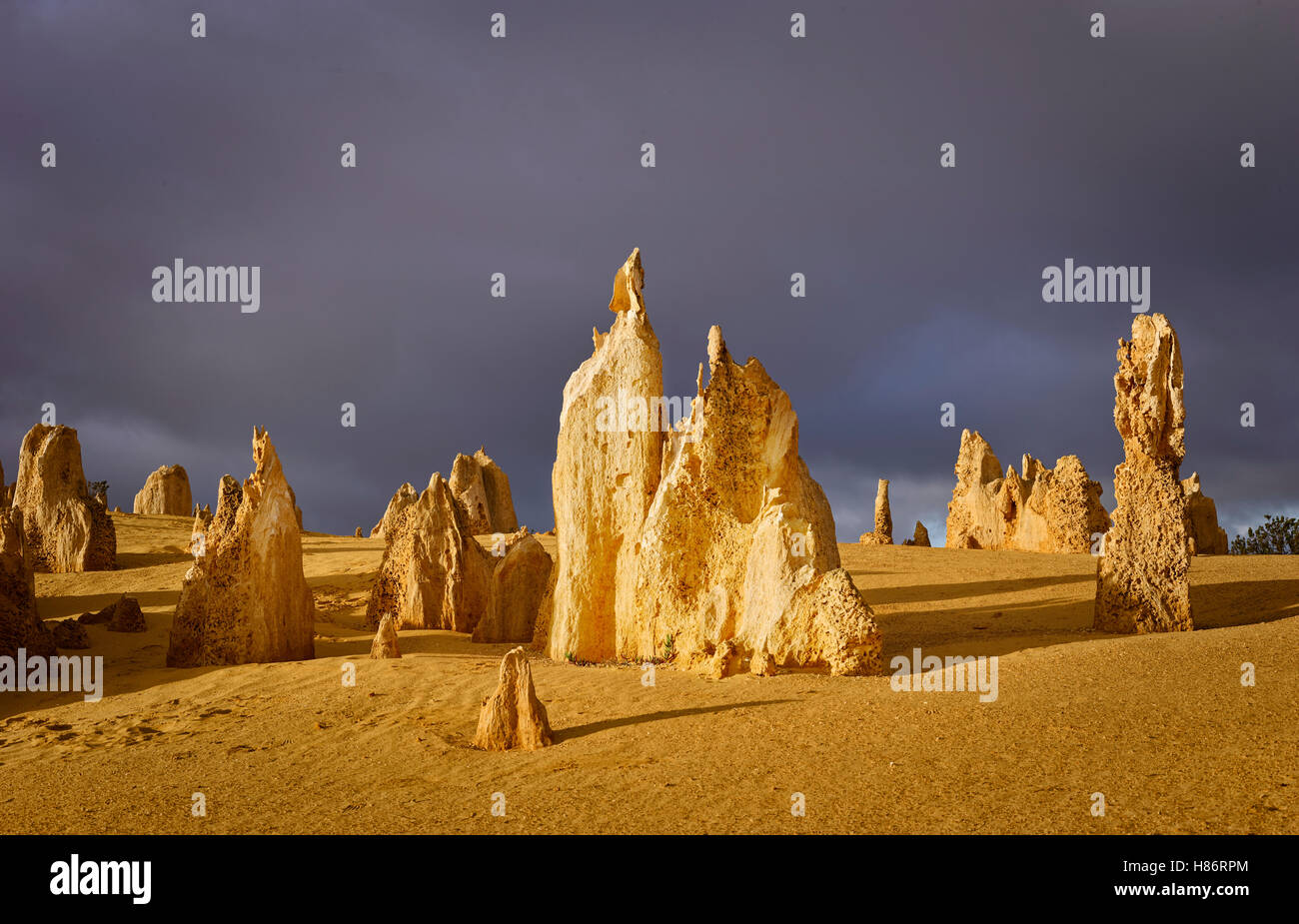 Limestone pinnacles in desert, Nambung National Park, Western Australia ...