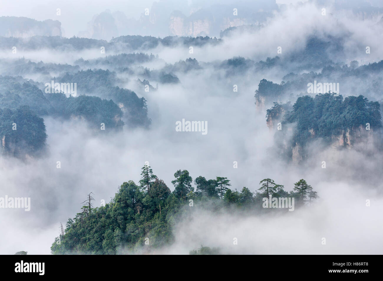 Mountains and clouds, Zhangjiajie National Forest Park, China Stock ...