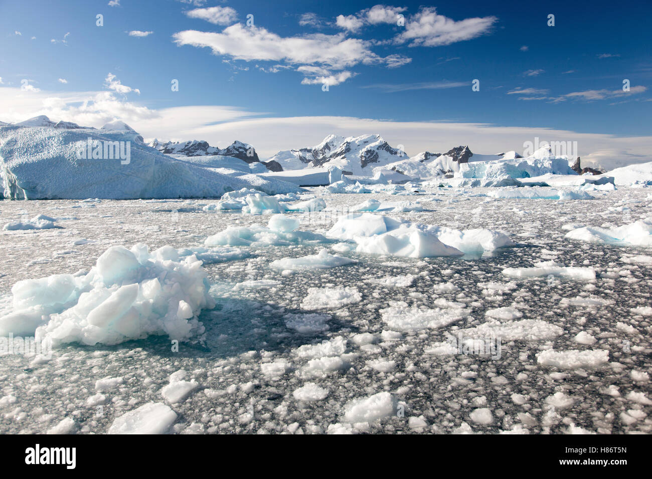 Icebergs, Collins Bay, Antarctic Peninsula, Antarctica Stock Photo - Alamy