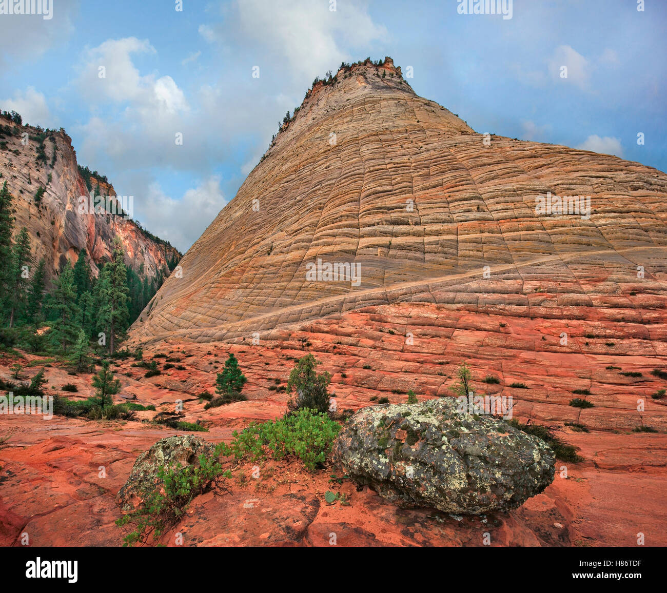 Checkerboard Mesa, Zion National Park, Utah Stock Photo - Alamy