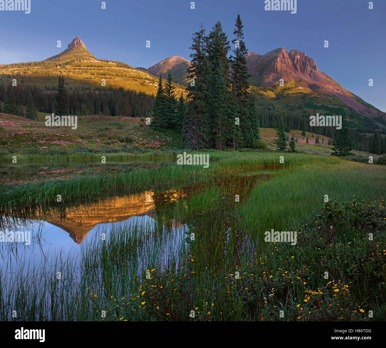 Turk's Head and Grand Turk peaks, Colorado Stock Photo - Alamy