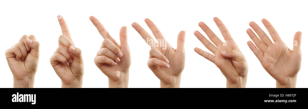 Hands count from zero to five isolated on white background Stock Photo ...