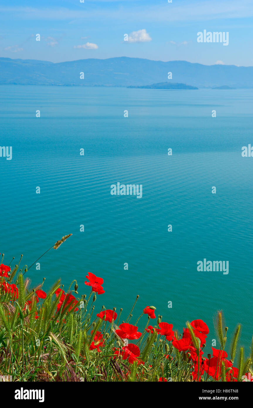 Castiglione del Lago, lago trasimeno, Lake Trasimeno, Perugia Province, umbria, italy Stock ...