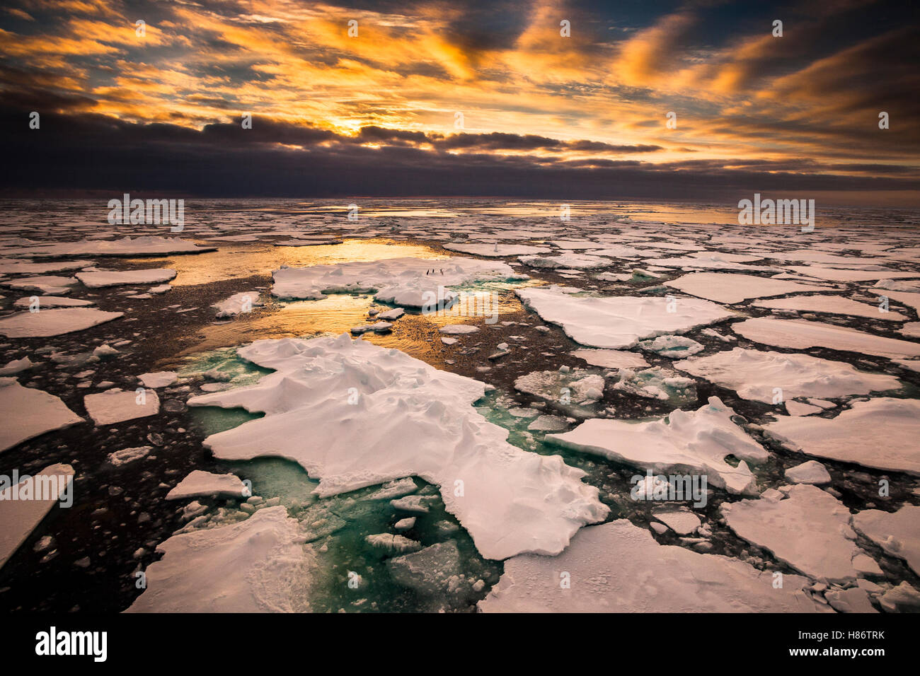 Pack ice at sunset, near Mertz Glacier, Antarctica Stock Photo - Alamy