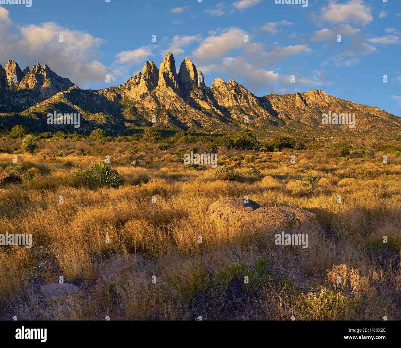 Organ Mountains, Aguirre Spring National Recreation Area, New Mexico ...