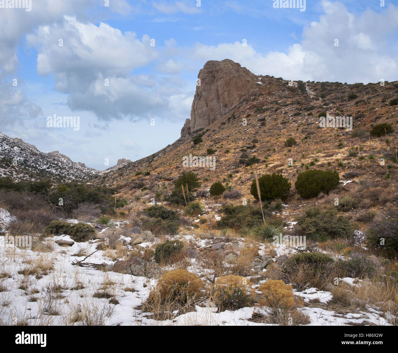 Florida Mountains, Rockhound State Park, New Mexico Stock Photo - Alamy