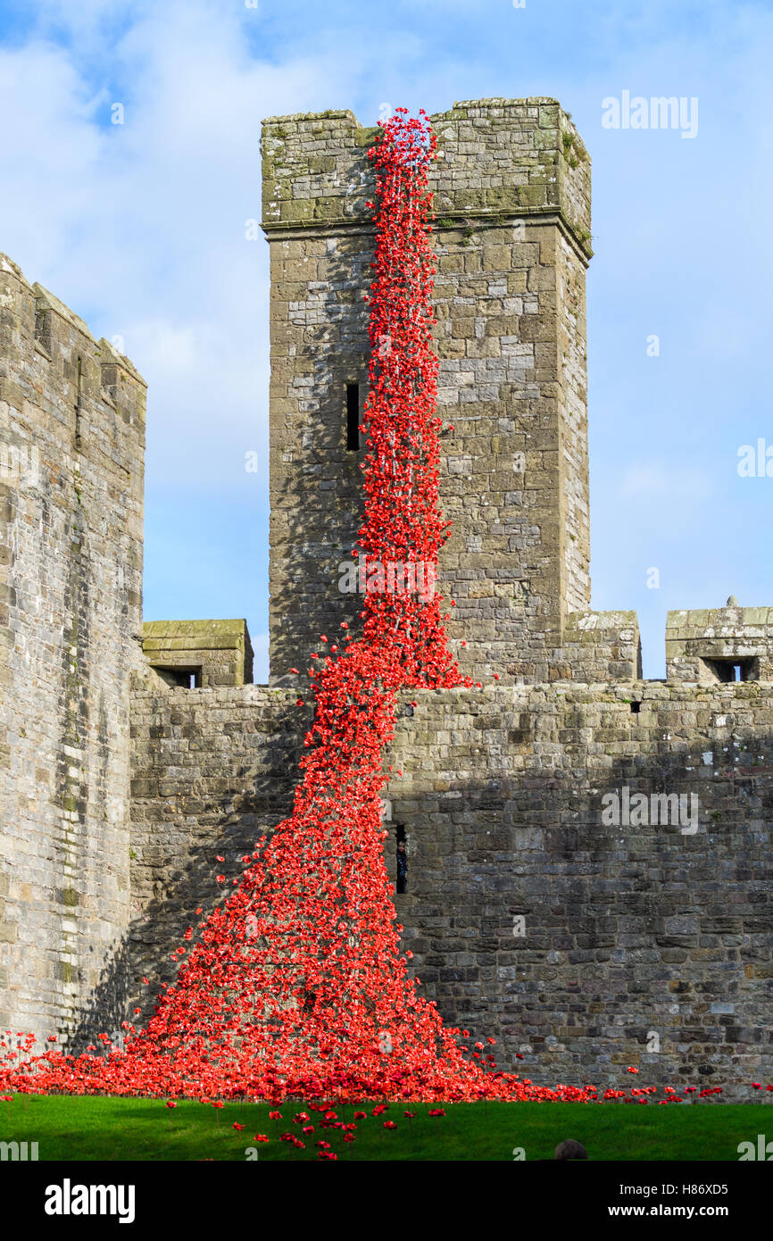 Weeping Windows sculpture at Caernarfon castle, Wales Stock Photo - Alamy
