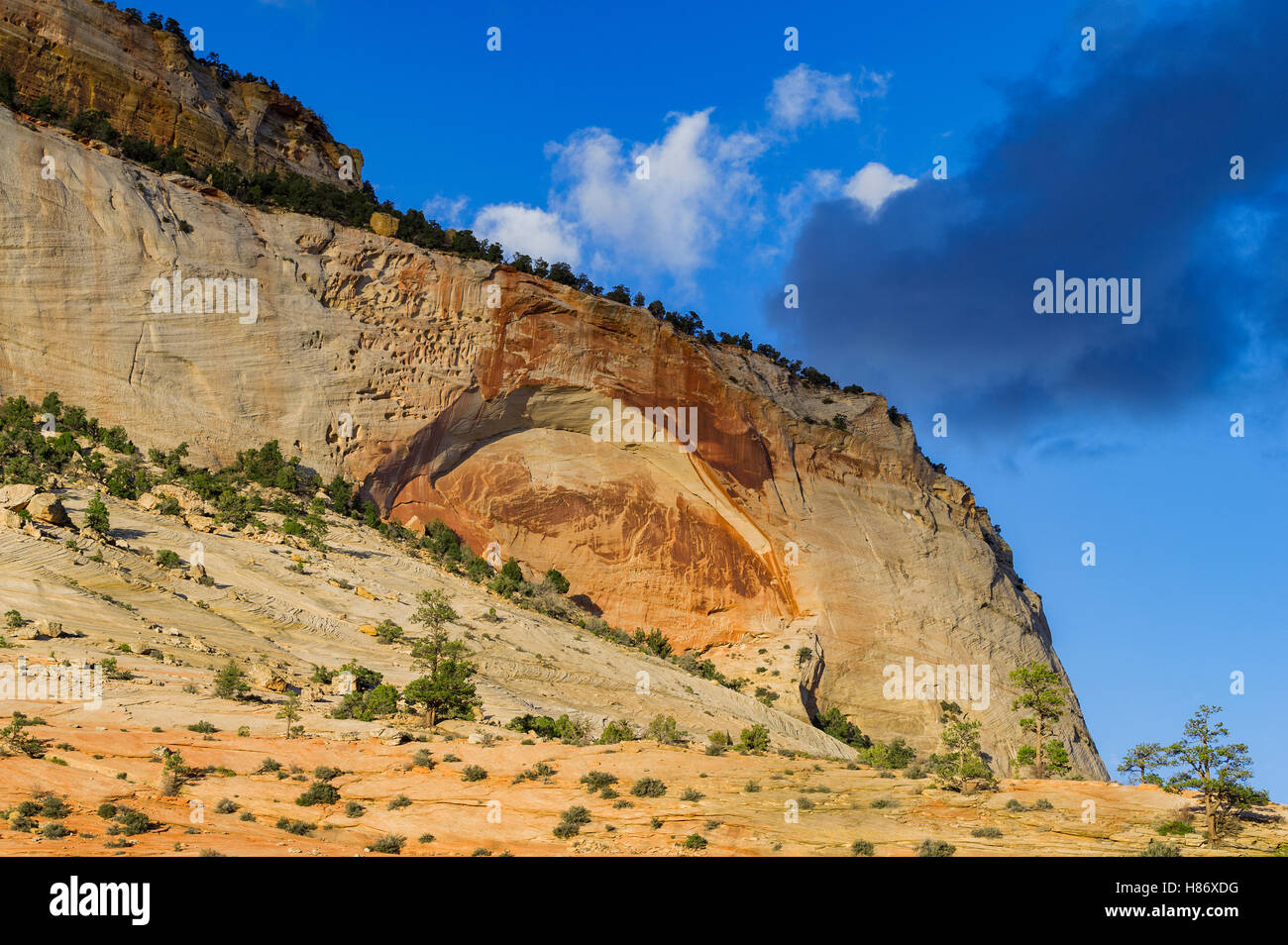 Red Arch Mountain, Zion National Park, Utah Stock Photo - Alamy