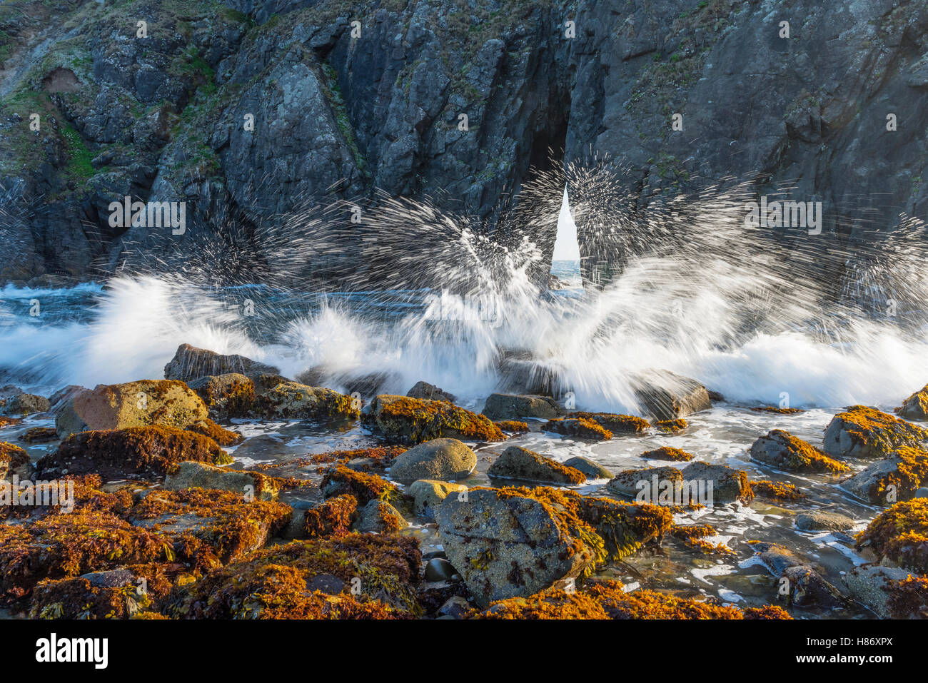 Waves breaking in front of arch, Harris Beach State Park, Oregon Stock ...