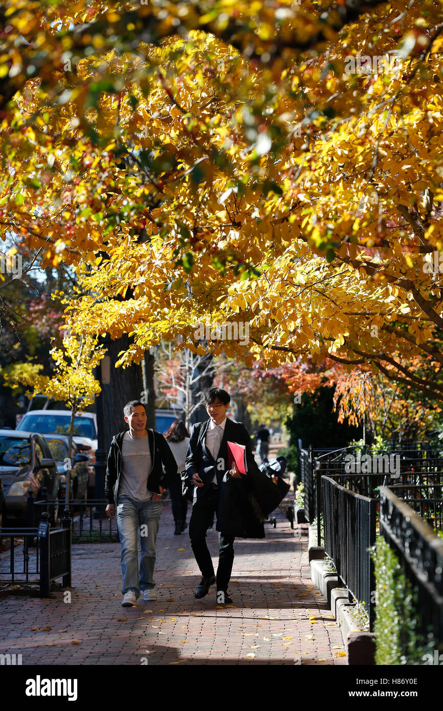 Fall foliage on Marlborough Street, Boston,, Massachusetts Stock Photo ...