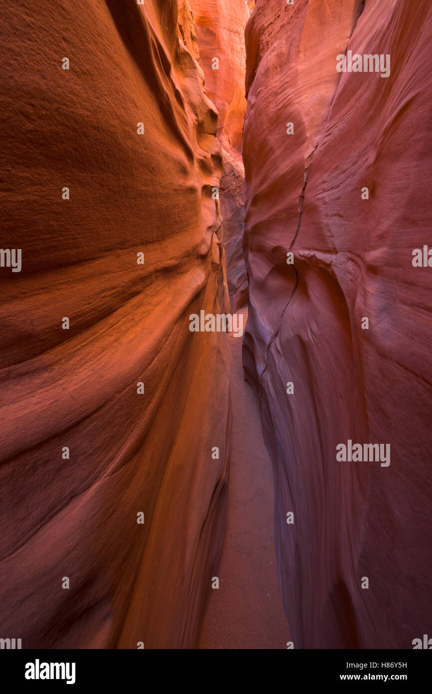 Red sandstone walls of narrow slot canyon, Grand Staircase-Escalante ...