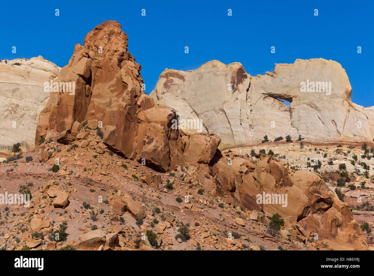Massive sandstone arch, Capitol Reef National Park, Utah Stock Photo ...