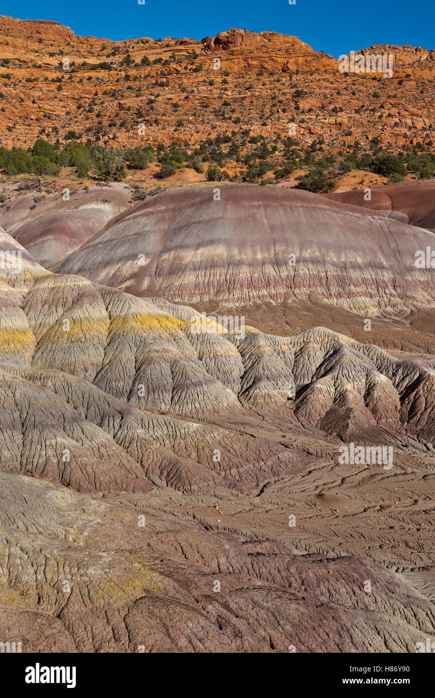 Eroded rock formations, Utah Stock Photo - Alamy