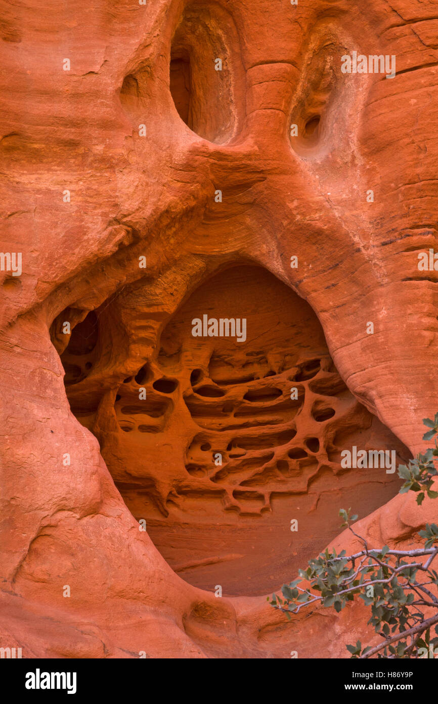 Sandstone rocks, Red Rock Canyon National Conservation Area, Nevada ...